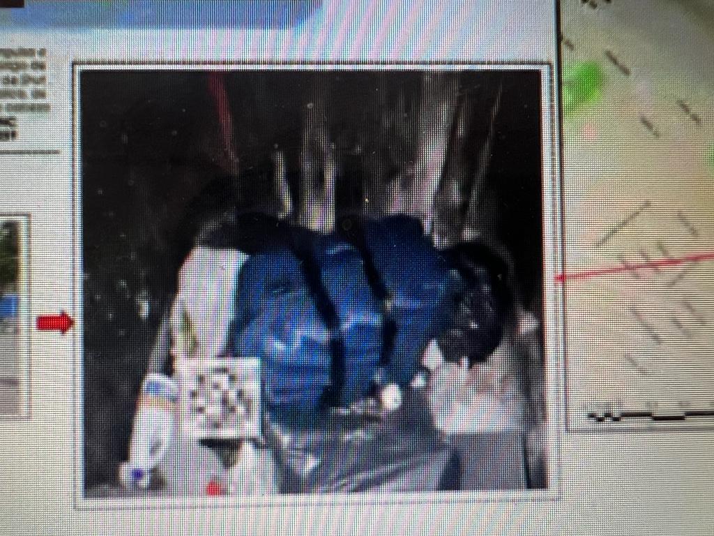 Jugadas desconocidas de John Poulos para ocultar feminicidio de la Dj Valentina Trespalacios